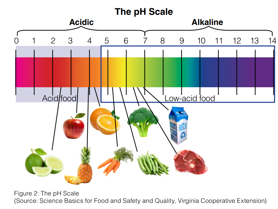pH of Fruit and Vegetables | Read Full Article Here